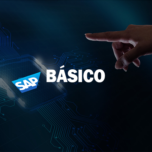 SAP Basic User - NBTEL Institute